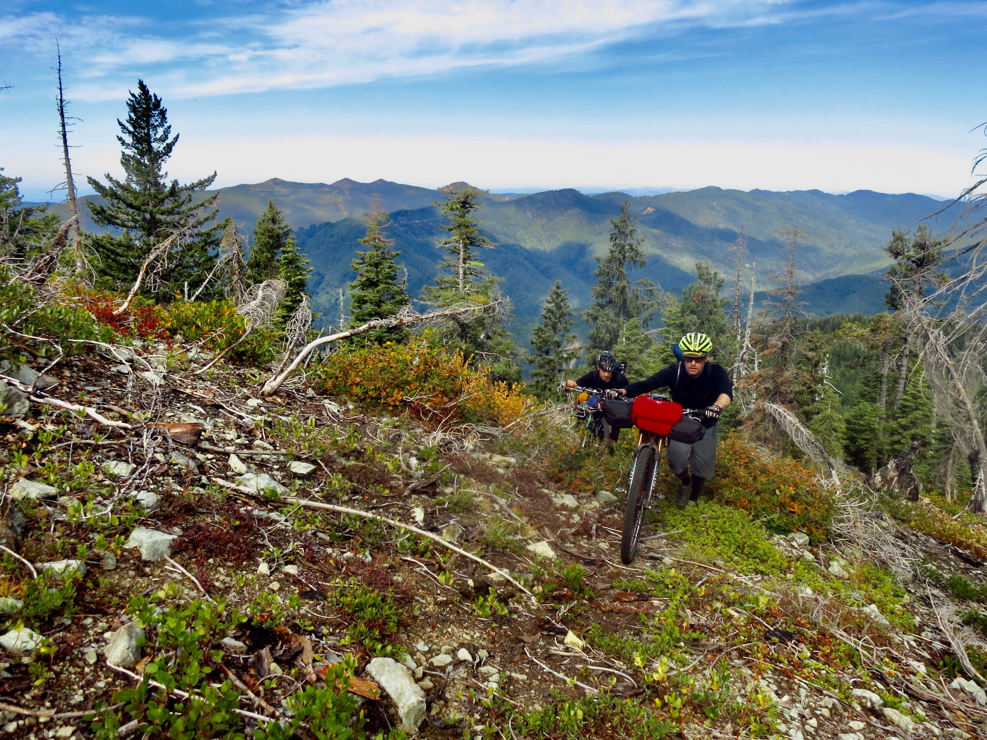 All Hail The Black Market