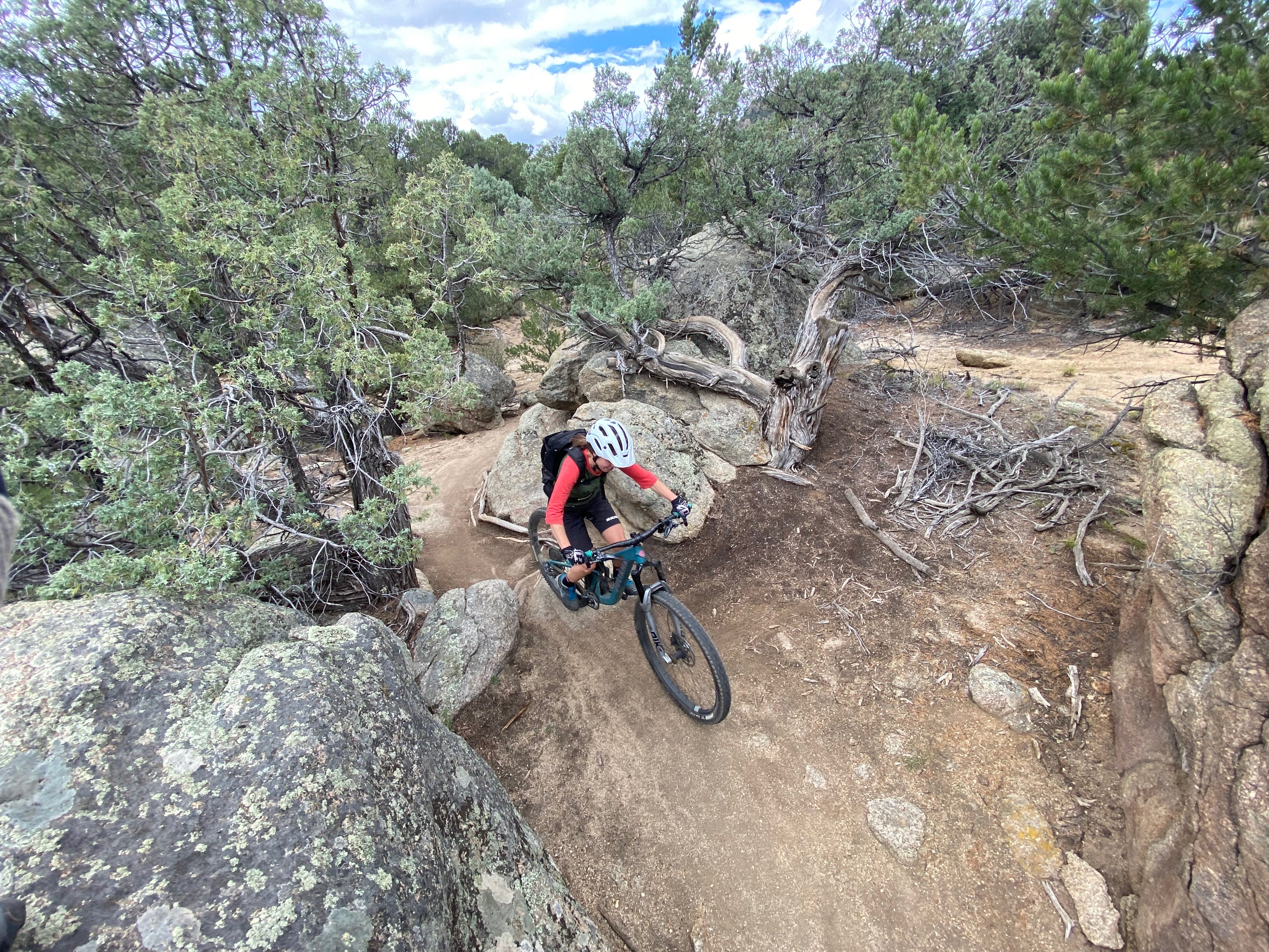 All Hail The Black Market